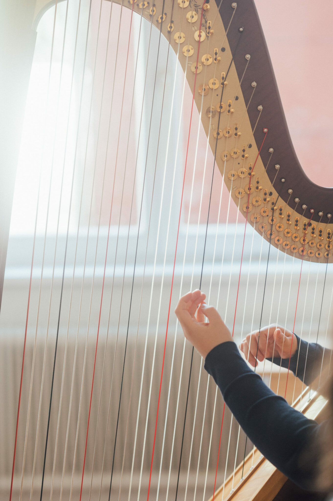 VIENNA HARP DAYS – internationaler Meisterkurs & Festival für Harfe ...